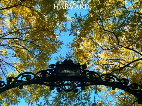Harvard Application Process Easy Step By Step Guide For Beginners