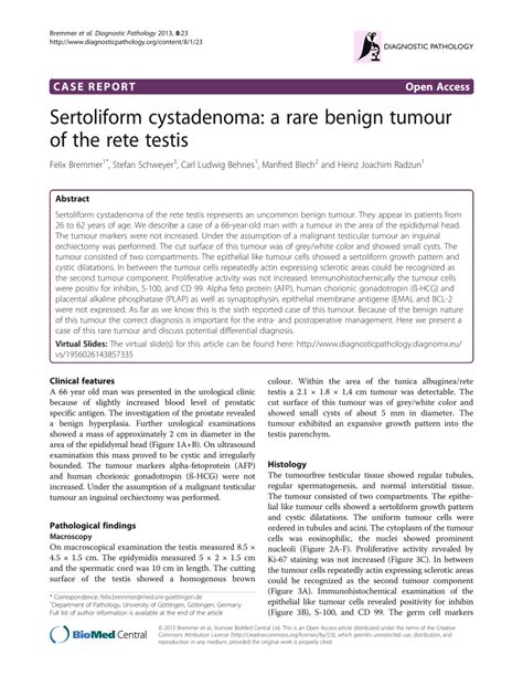 Pdf Sertoliform Cystadenoma A Rare Benign Tumour Of The Rete Testis