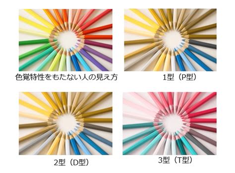色彩検定に、色覚の多様性に対応する「uc 色のユニバーサルデザイン 級」が新設 ｜デザインを深掘り Mdn