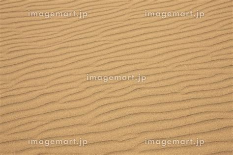 鳥取砂丘の風紋の写真素材 24356056 イメージマート