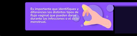 Flujo Blanco Y Espeso Qu Significa Este Tipo De Flujo