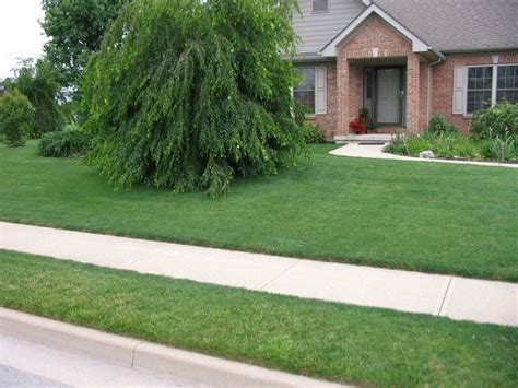 Our Work Purelawn Cincinnati And Dayton Organic Lawn Care Service