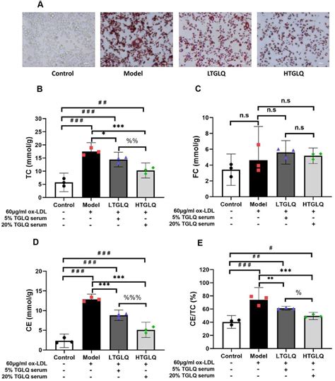 Tglq Reduced The Accumulation Of Lipid In Ox Ldl Induced Macrophages
