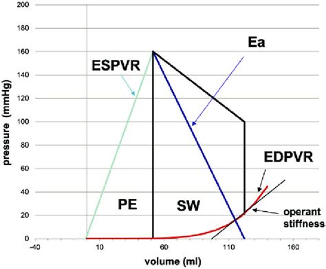 Representative Echo Based Single Beat Pv Loop Of 1 Lv Cycle Ea