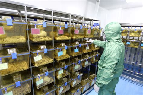 上海赛默罗生物科技有限公司