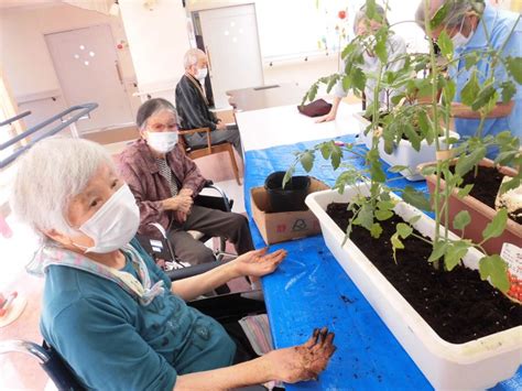 プランター栽培 収穫 すずかけの木 焼津市の介護付有料老人ホーム
