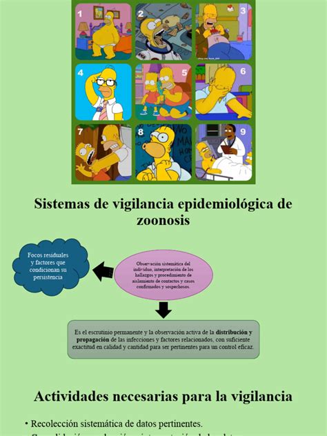 Sistema De Vigilancia Epidemiologica Zis Pdf Comportamiento