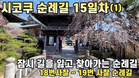 순례길 도전기 벚꽃이 활짝 핀 순례길 걷기 시코쿠 순례길 걷기 15일차1 입니다 Shikoku Pilgrimage