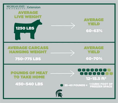 Beef Yields And Storage Needs The Meat Locker