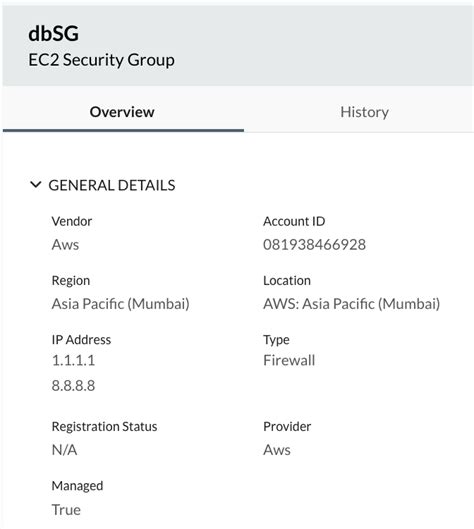 Asset Insights What Is The Significance Of Showing Ip Addresses For