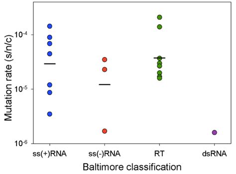 Mutation Rates Versus Genome Polarity Mutation Rates Are Represented