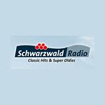 Alle Radiosender Aus Baden W Rttemberg Internet Radio W Rttemberg