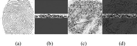 Figure 7 From Pso Watermarking Model For Multimodal Biometric System Semantic Scholar