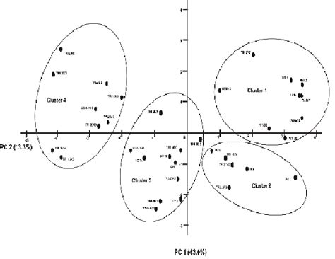 principal component analysis bi plot derived from biochemical and