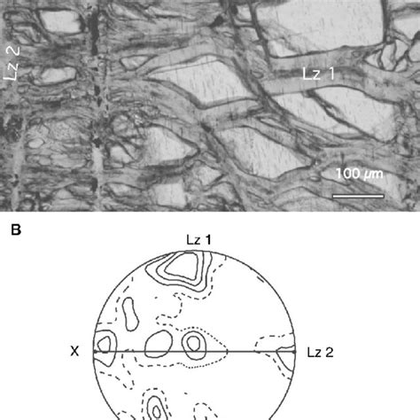 Lattice Preferred Orientation Lpo Of Olivine In A Dunite 83of2 And