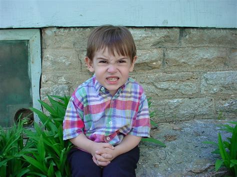 Buddy 4 Free Photo Download | FreeImages