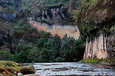楚雄周边游玩楚雄白天好玩的地方楚雄的旅游景点有哪些大山谷图库
