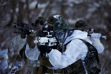 Las Mejores Imágenes De Los Marines De Corea Del Sur Y De Los Estados