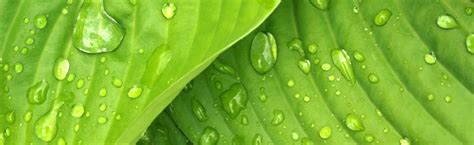 How To Set Up A Spring Boot Project