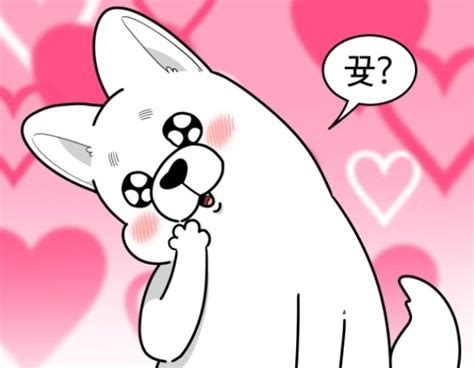 이상형 밸런스게임 네이버 블로그