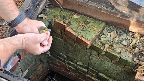 Goodlettsville Firefighters Rescue Ducklings From Storm Drain