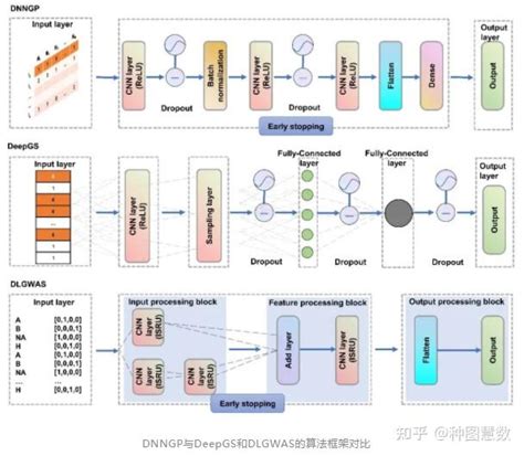 【种图家植物育种】基于深度学习的全基因组选择新方法 知乎