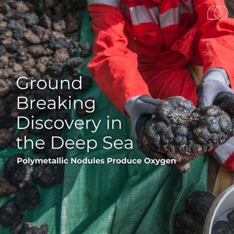 Ground Breaking Discovery In The Deep Sea