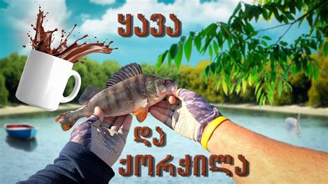 ყავა და ქორჭილა Youtube