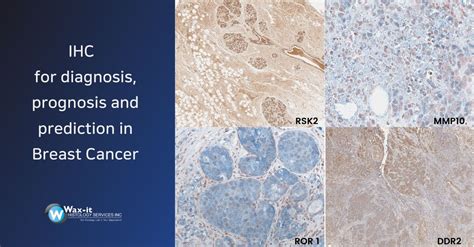 Wax It Histology Services Inc On Linkedin Home