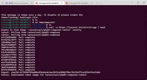 Win11搭建开发环境wsl2ubuntu2204dockerlaravel 林锋1349 博客园