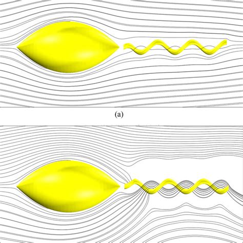 Effect Of Tail Rotation On The Flow Field Around A Body With