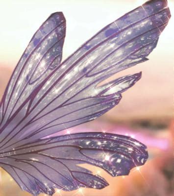 What Fairy Are You Quiz Quotev