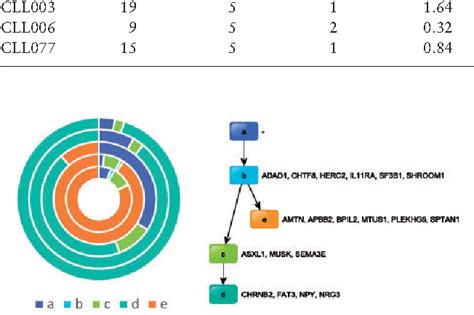 Figure 2 From Clonality Inference In Multiple Tumor Samples Using Phylogeny Semantic Scholar
