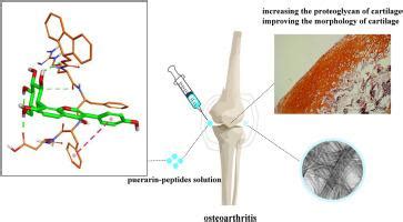 Journal Of Drug Delivery Science And