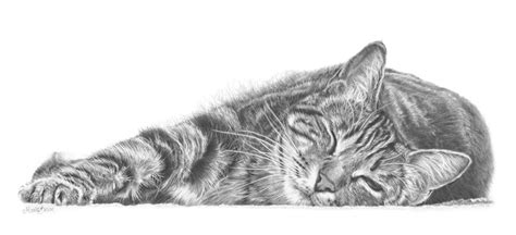 Tabby Cat Print Tabby Cat Wall Art Cat Drawing Fine Art T For