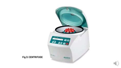 Viral Loaded Six Month Industrial Training Pptx