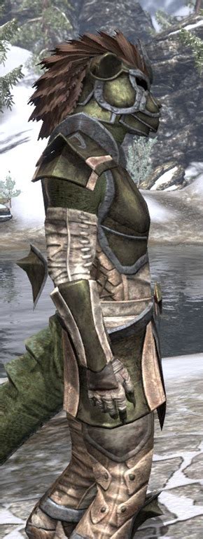 Khajiit Heavy 3 Argonian Male