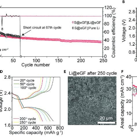 Full Cell Performances With Both Hosted Anode And Cathode A