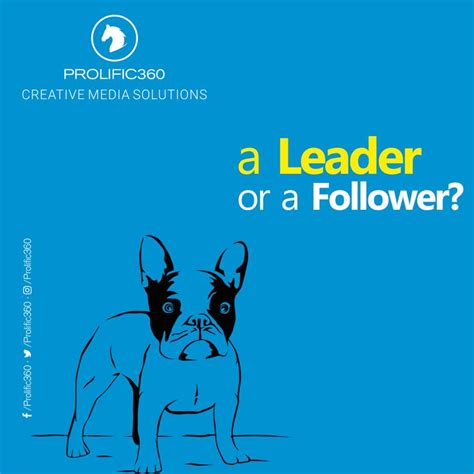 Innovation Distinguishes Between A Leader Follower Innovation