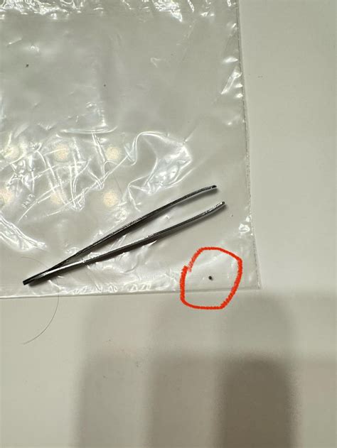 Tick Identification R Ticks