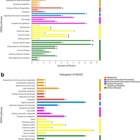 Kegg Pathway Analysis Of Dseps The Ordinate Is The Name Of Kegg