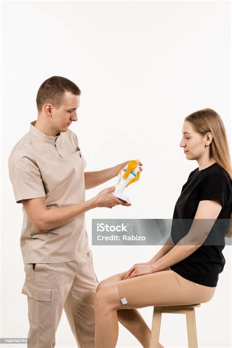 Model Anatomi Sendi Lutut Dengan Latar Belakang Putih Dokter