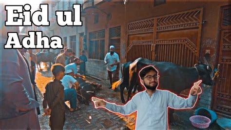 😱eid Ul Adha Mubarak 2023 😱 Bakra Eid First Day Vlog In Peshawar