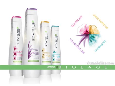 Isabel Lee | Malaysian Beauty & Lifestyle Blogger: Matrix Biolage ...