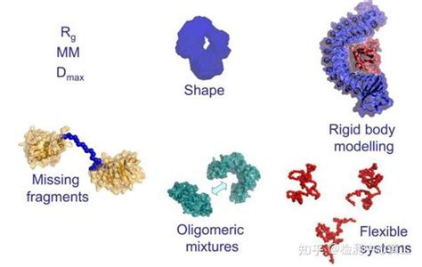 生物大分子小角x射线散射（saxs）实验指南 知乎