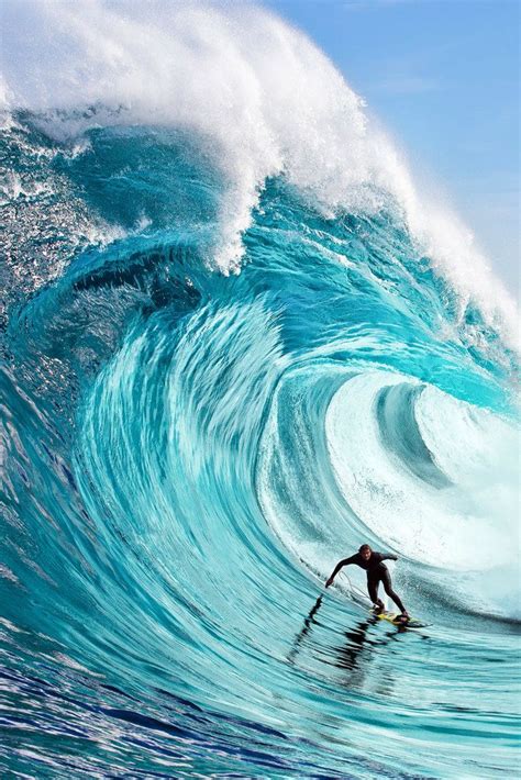 Surfing A Wave At Bill Voigt Blog