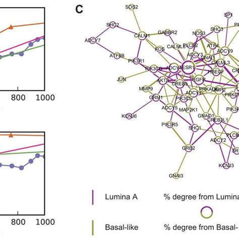 Illustration Of Latent Differential Graphical Model Ldgm As Compared Download Scientific