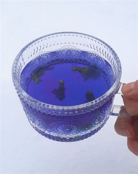 Анчан с лимоном💜