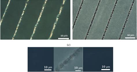 A Microphotos In A Crossed Polarizer And An Analyzer Tracks From Download Scientific Diagram