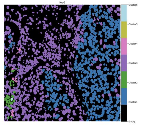 plot neighborhood cluster result has multiple colors per cell · issue 967 · angelolab ark
